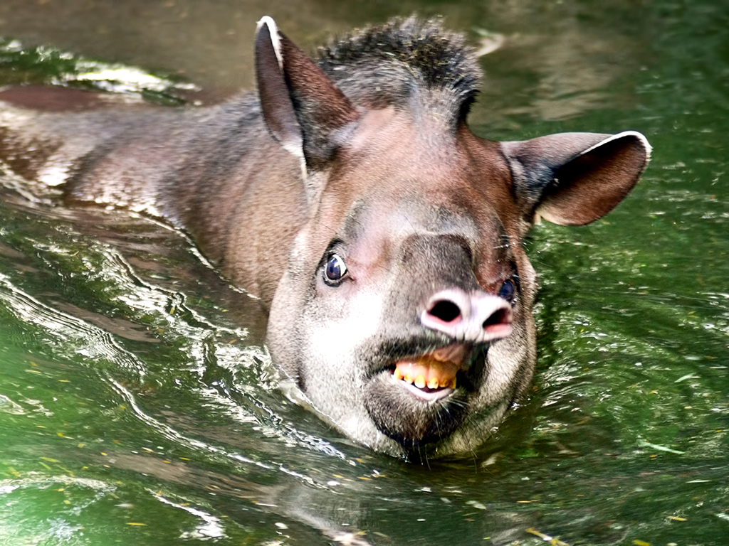 Waarom Costa Rica op de lijst van levensdoelen? | SCI Travel Adventures